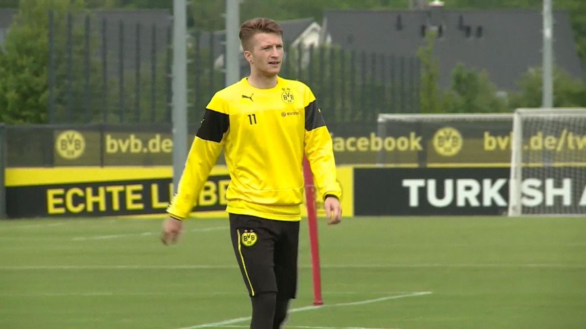 Germany spring huge shock as injury-hit Marco Reus axed from Euro 2016 ...