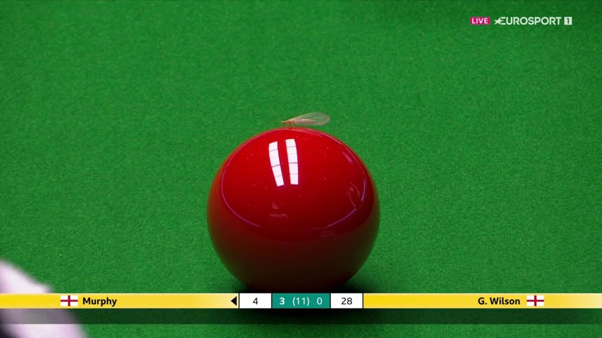 'My game's shot' - Gary Wilson opens up about yips and decline in ...