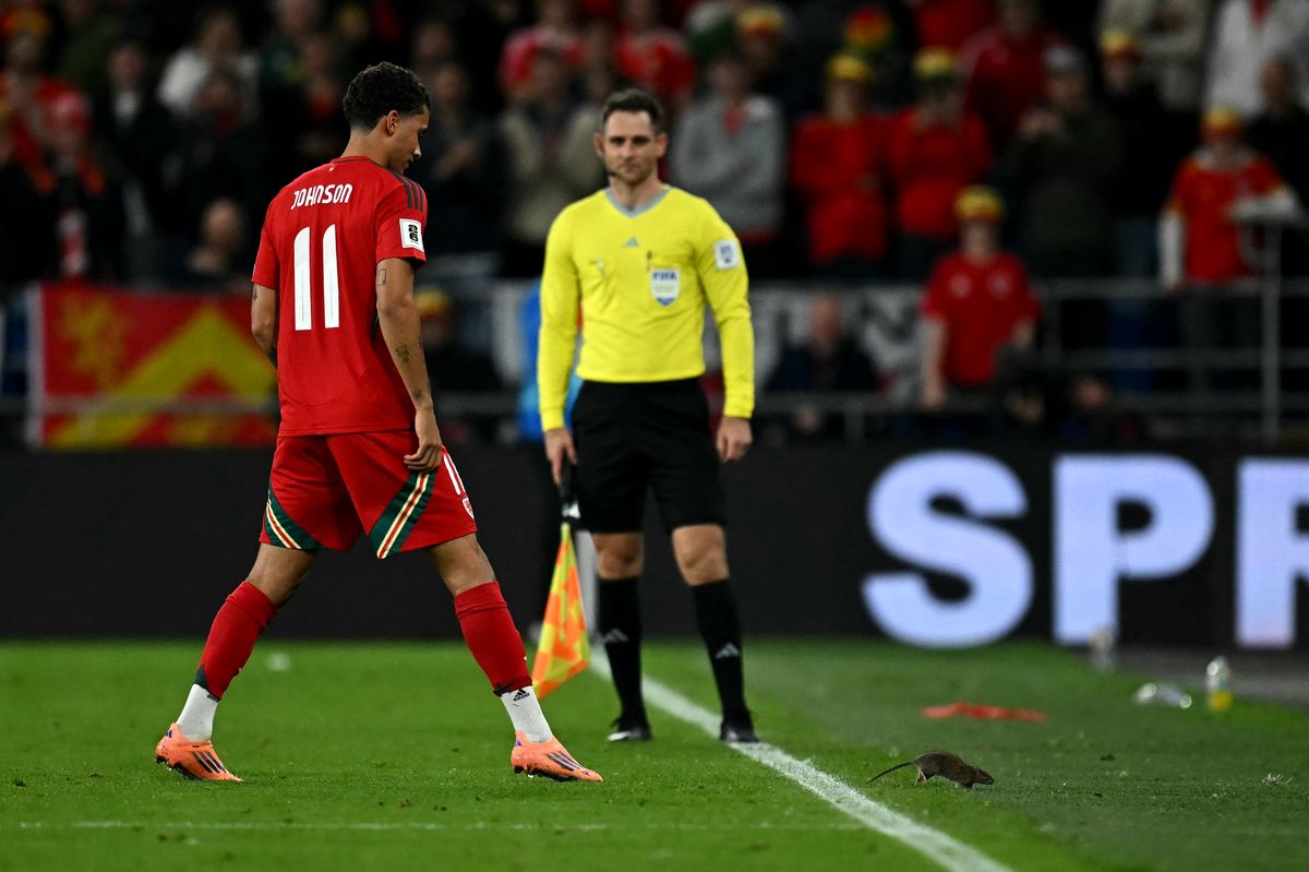 How rat suspended play and gave Real Madrid goalkeeper Thibaut Courtois ...