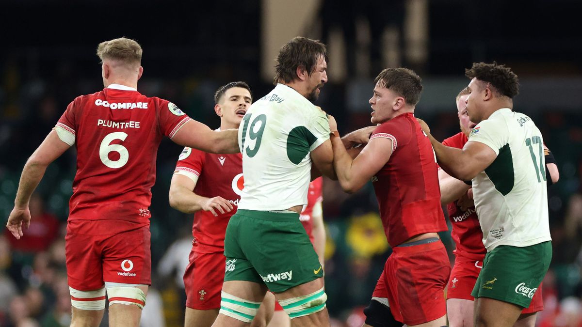 Wales v South Africa result - Steve Tandy's suffer record home defeat ...