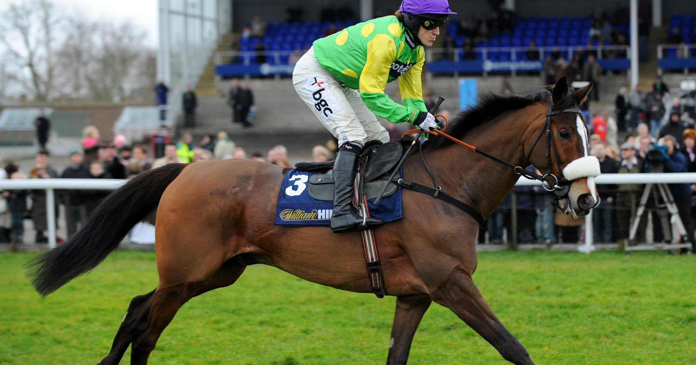 Legendary racehorse Kauto Star put down after fall - TNT Sports