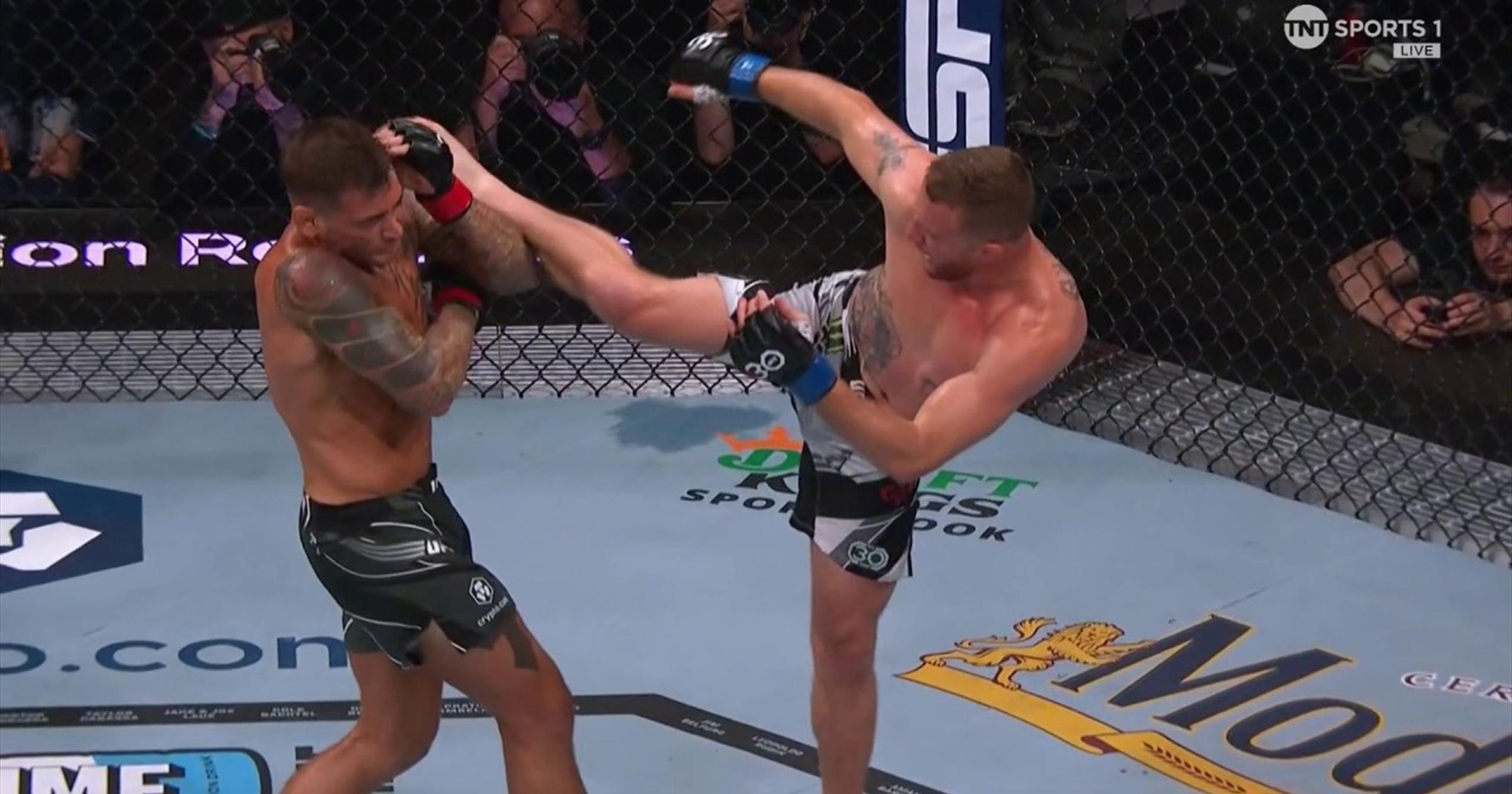 UFC Fight Week: The team review Justin Gaethje's stunning UFC 291 win ...