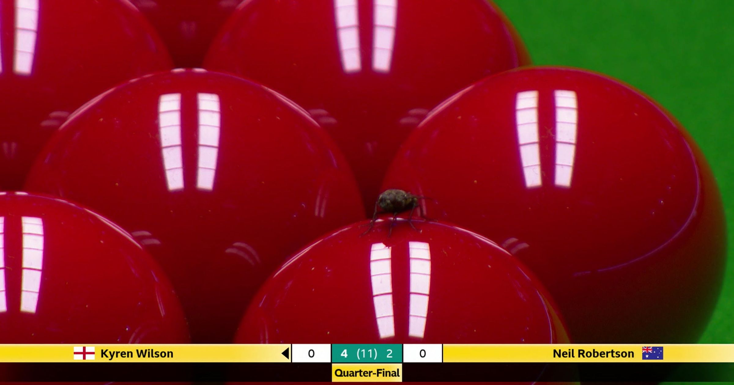 Watch: Fly steals front-row seat at Kyren Wilson vs Neil Robertson's ...