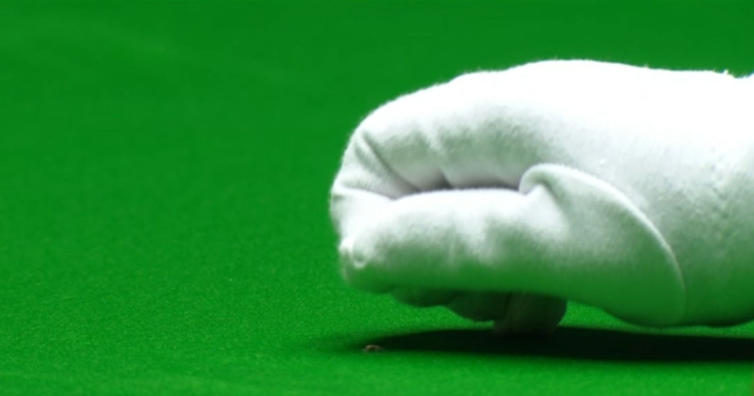 Referee Paul Collier deals ruthlessly with insect in World Snooker ...