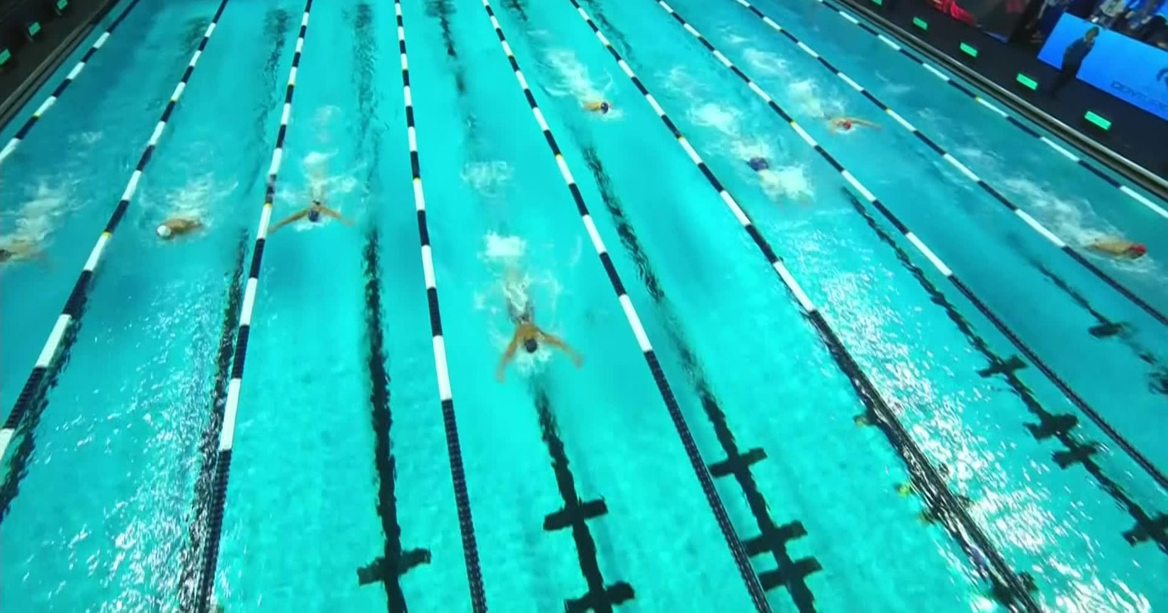 Swimming video - Chad le Clos racks up another win - Swimming video ...