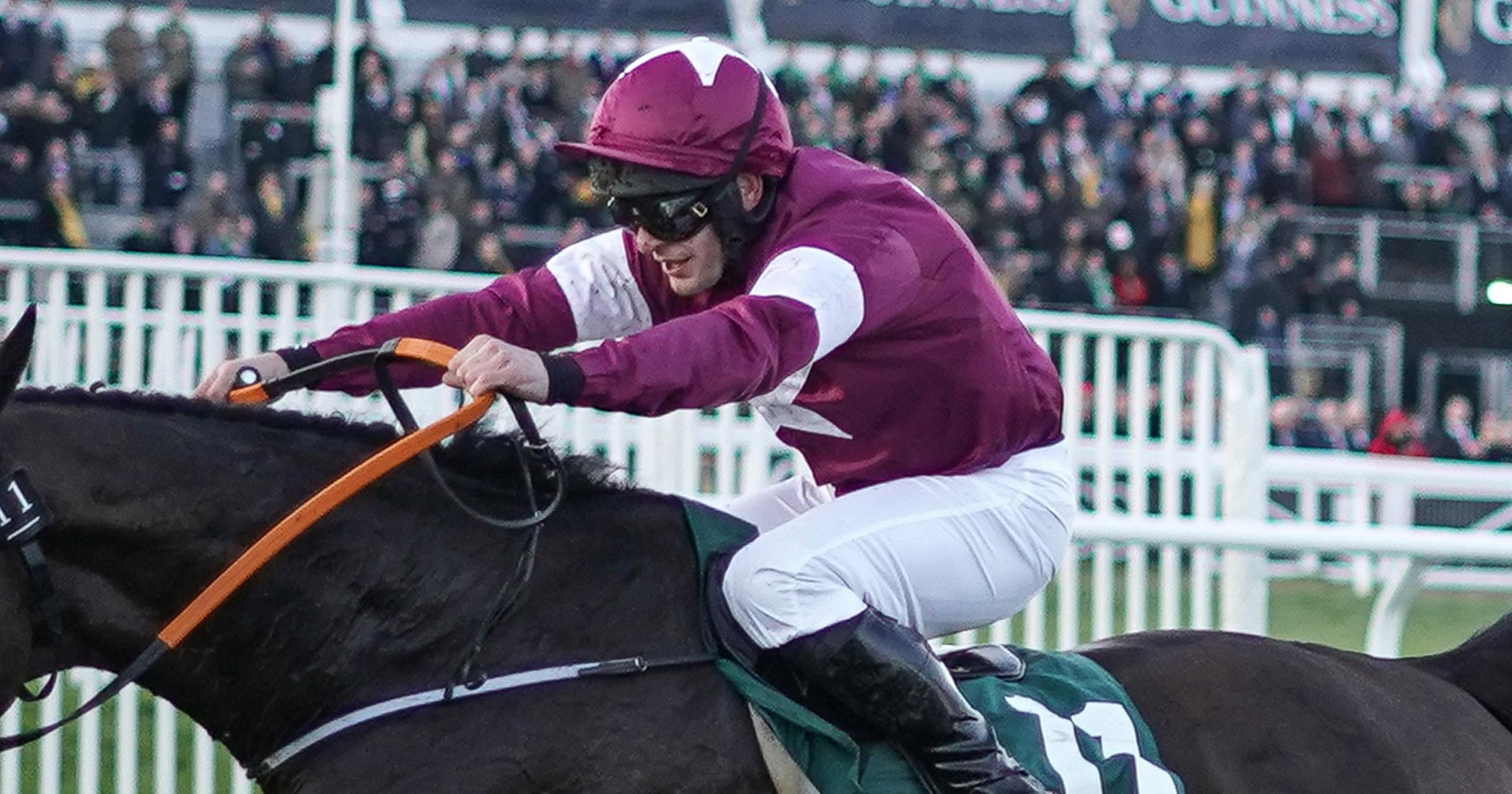 Jockey Rob James apologises for climbing on dead horse, 24 hours after ...