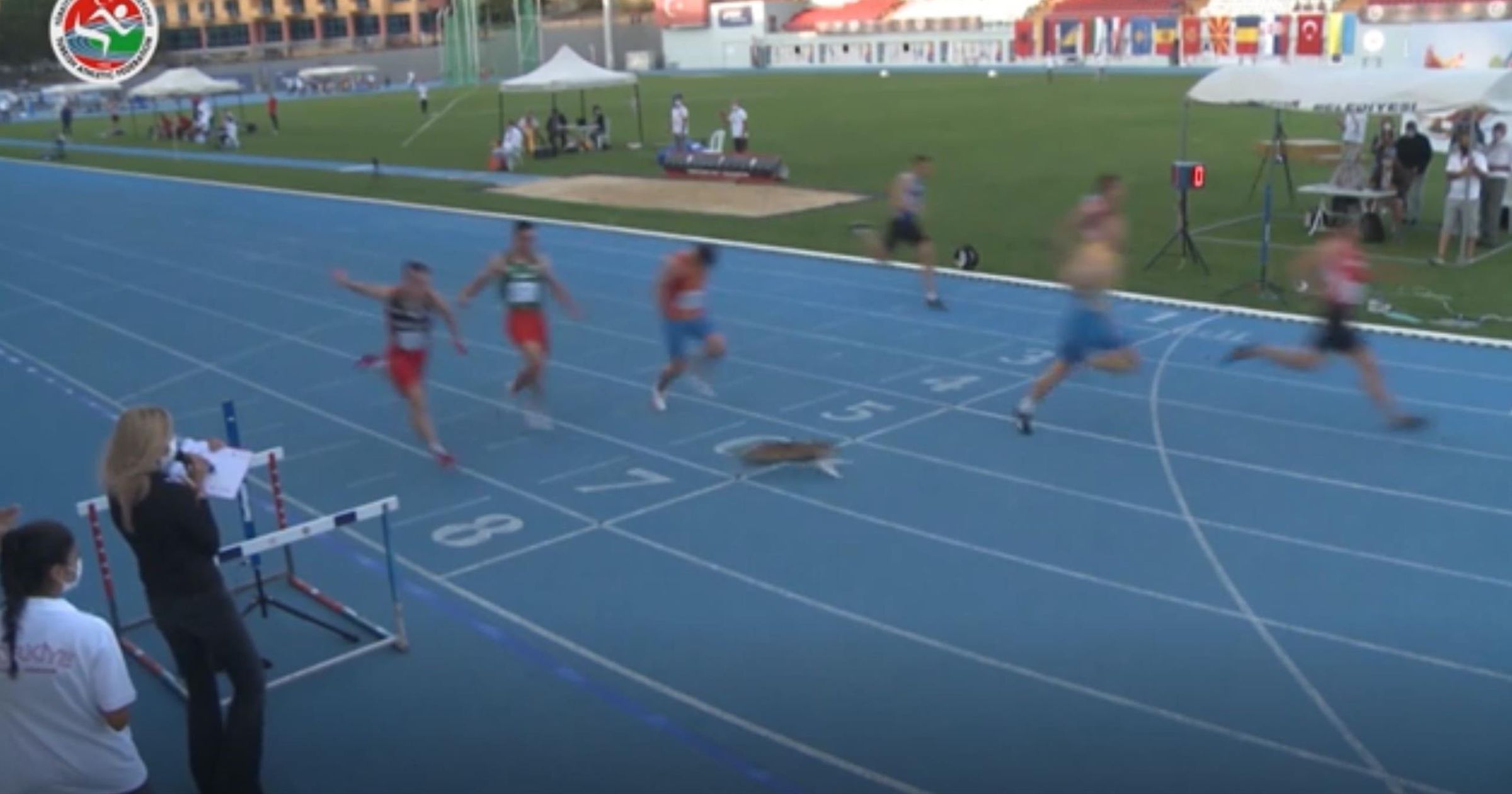 Cat sprints across finish line during 100m race in Turkey - Athletics ...