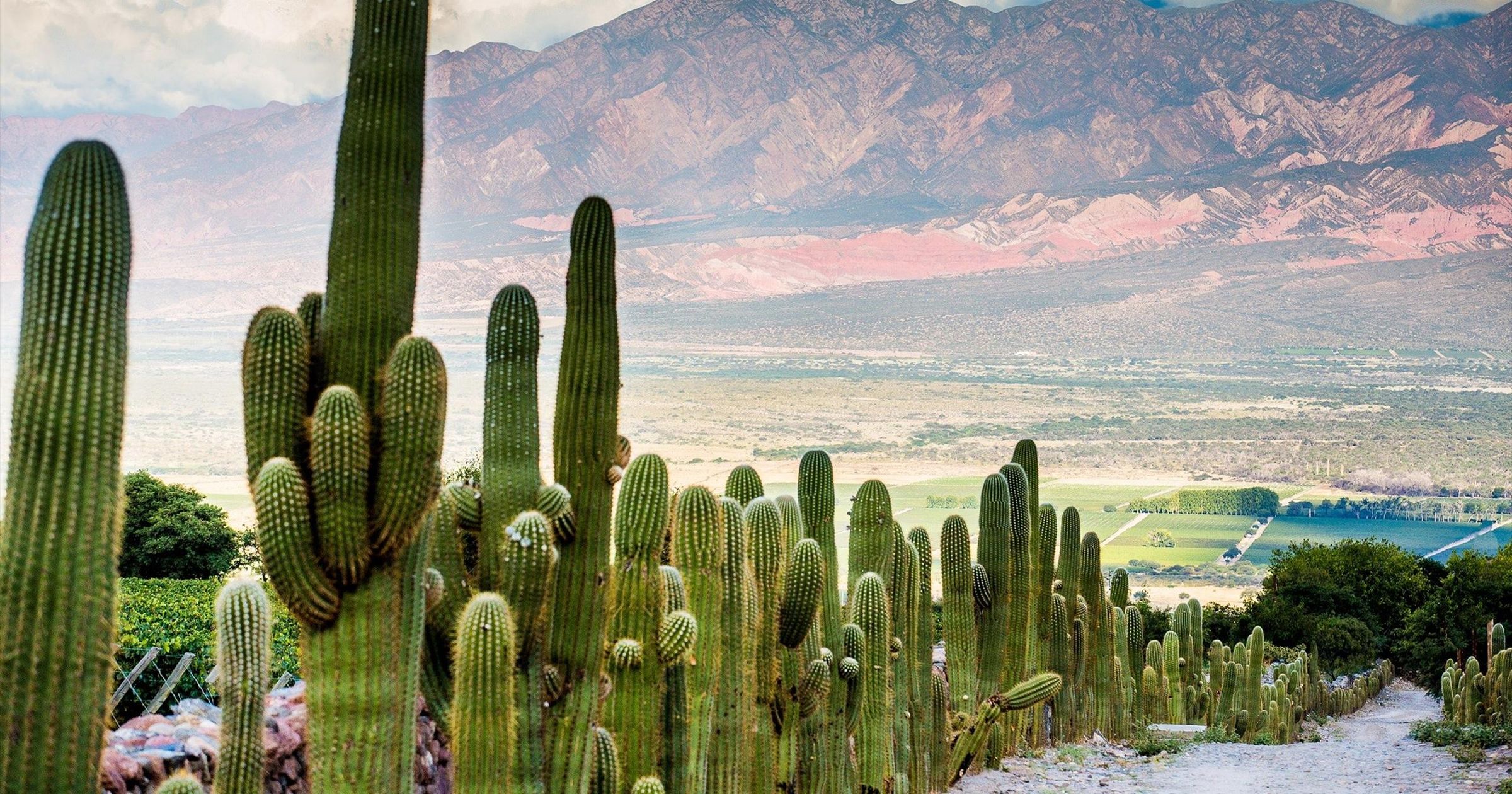 Dakar – Multi-coloured mountains, fine wine and awesome canyons: 7 ...