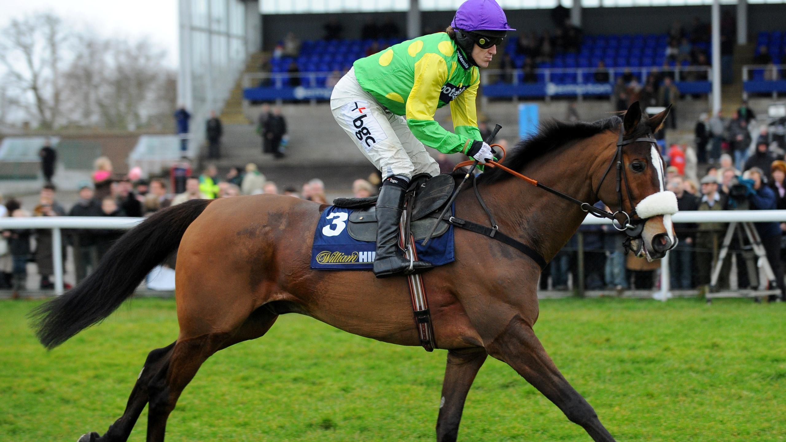 Legendary racehorse Kauto Star put down after fall - TNT Sports