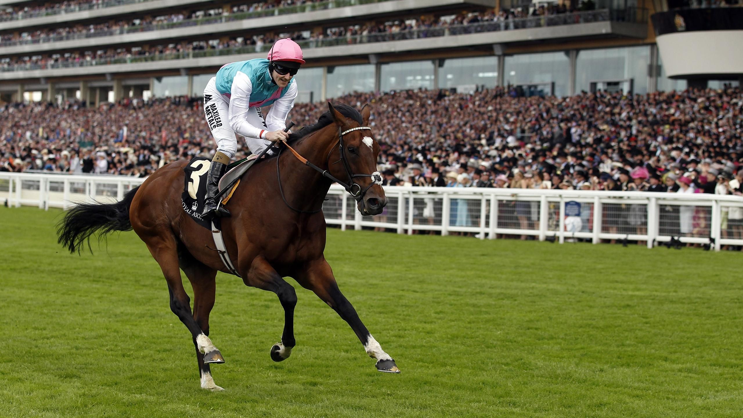 Unbeaten champion Frankel fathers first foal - TNT Sports