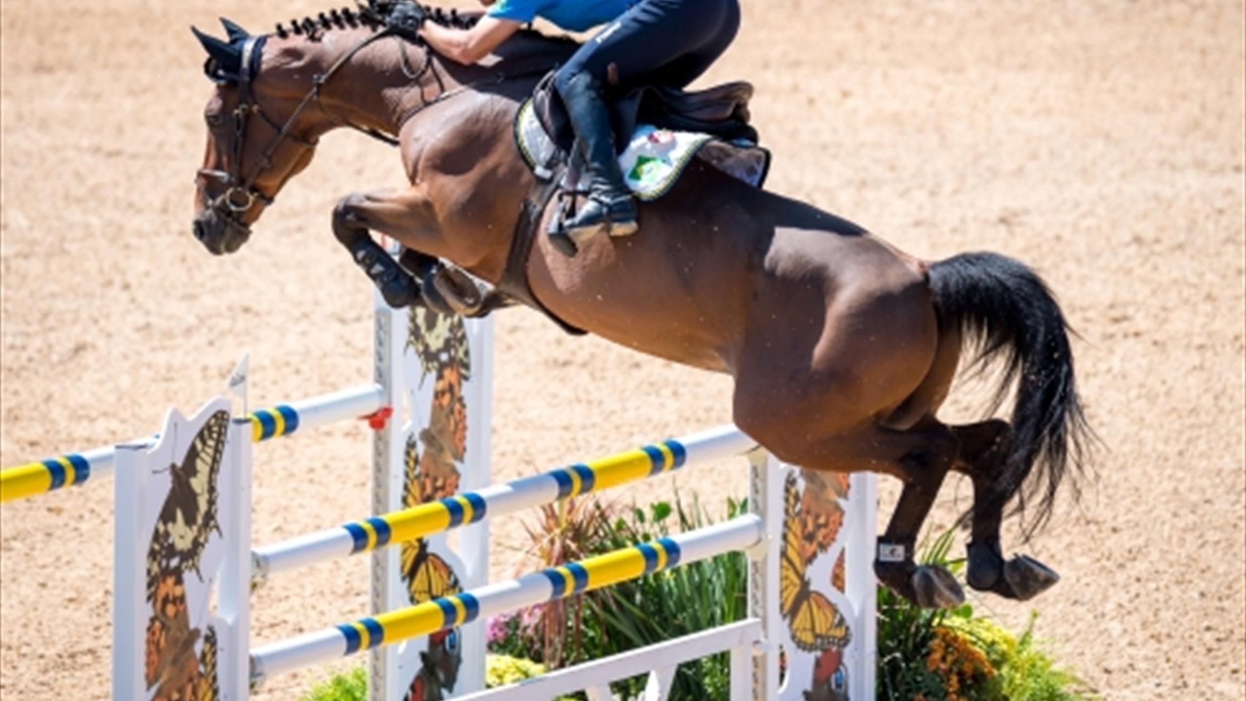 Brazil and Germany star as Olympic Show Jumping get underway - TNT Sports