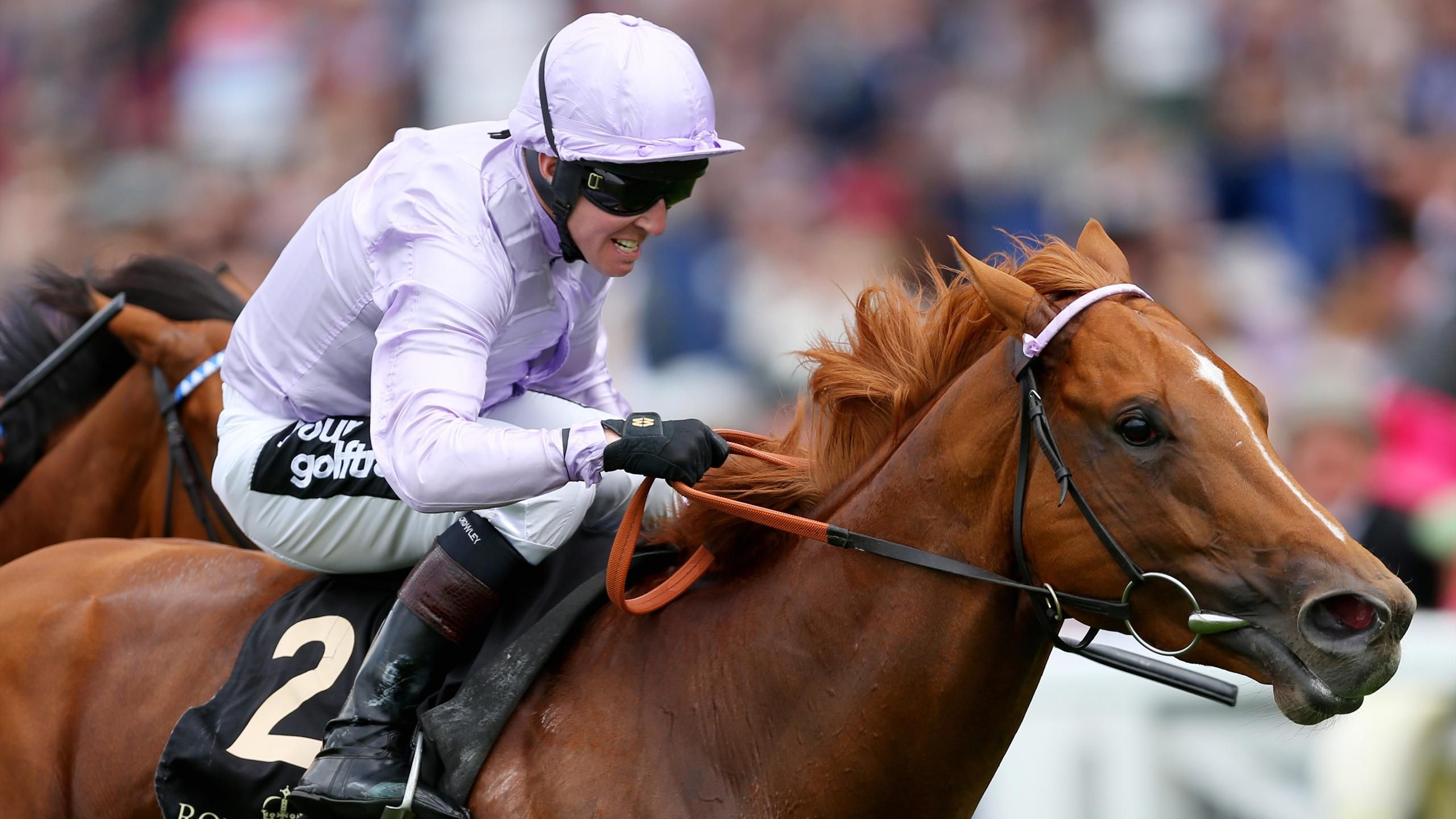 Champion jockey Jim Crowley and Freddie Tylicki taken to hospital with ...