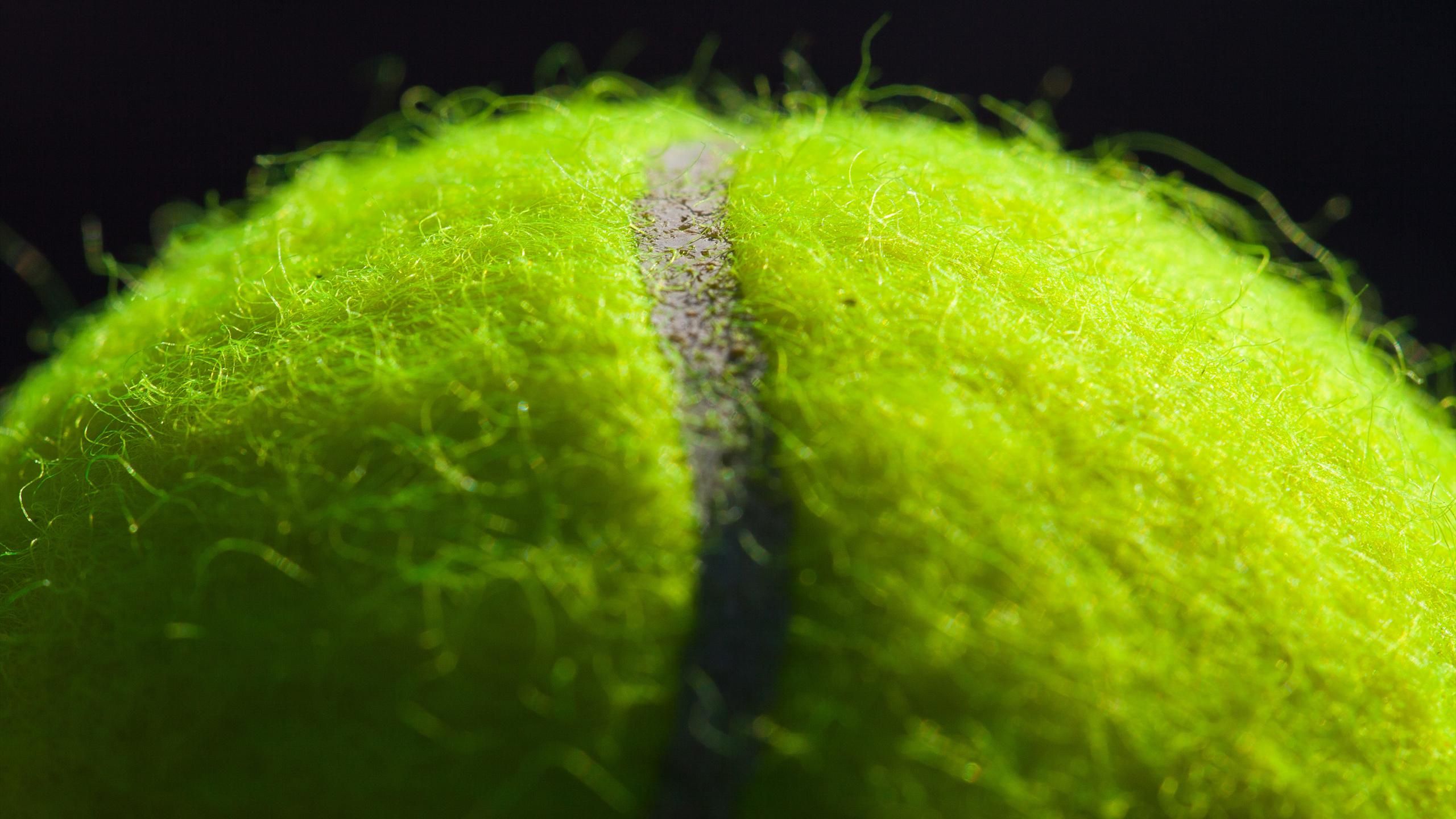 President Martin Corrie steps aside as LTA investigates historic case ...