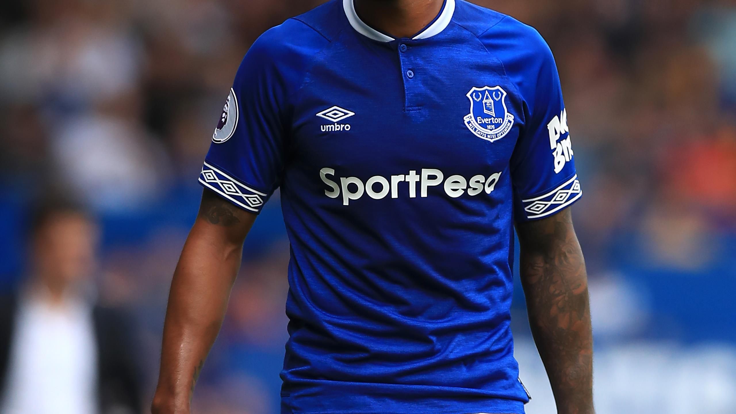 Everton trio become first footballers to feature in Angry Birds game ...