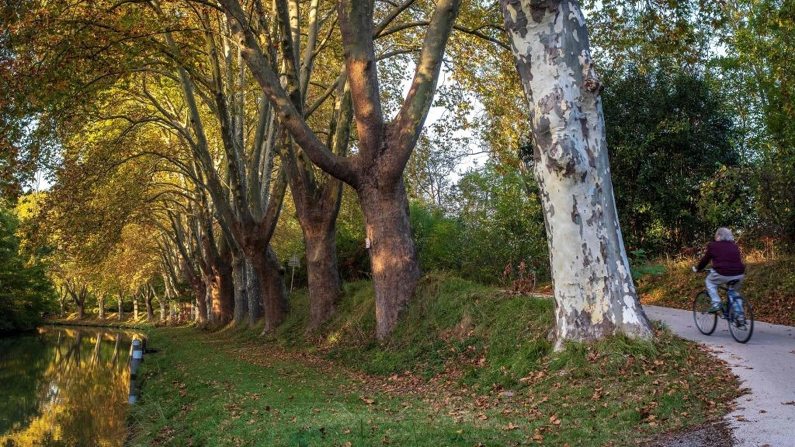 Russ Mantle to become first Brit to clock a million miles - TNT Sports
