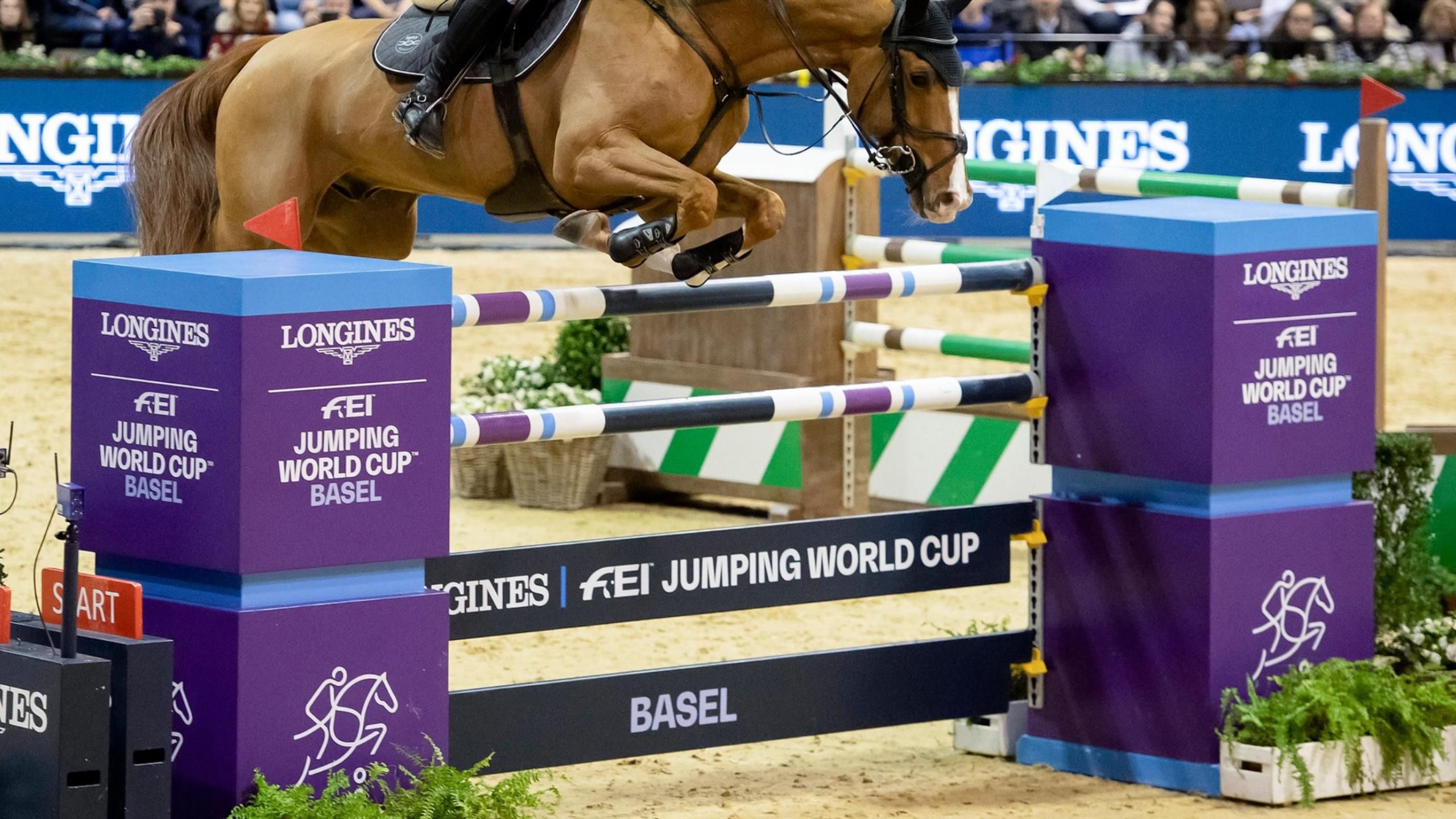FEI Show Jumping World Cup - Verona and Basel have been cancelled - TNT ...