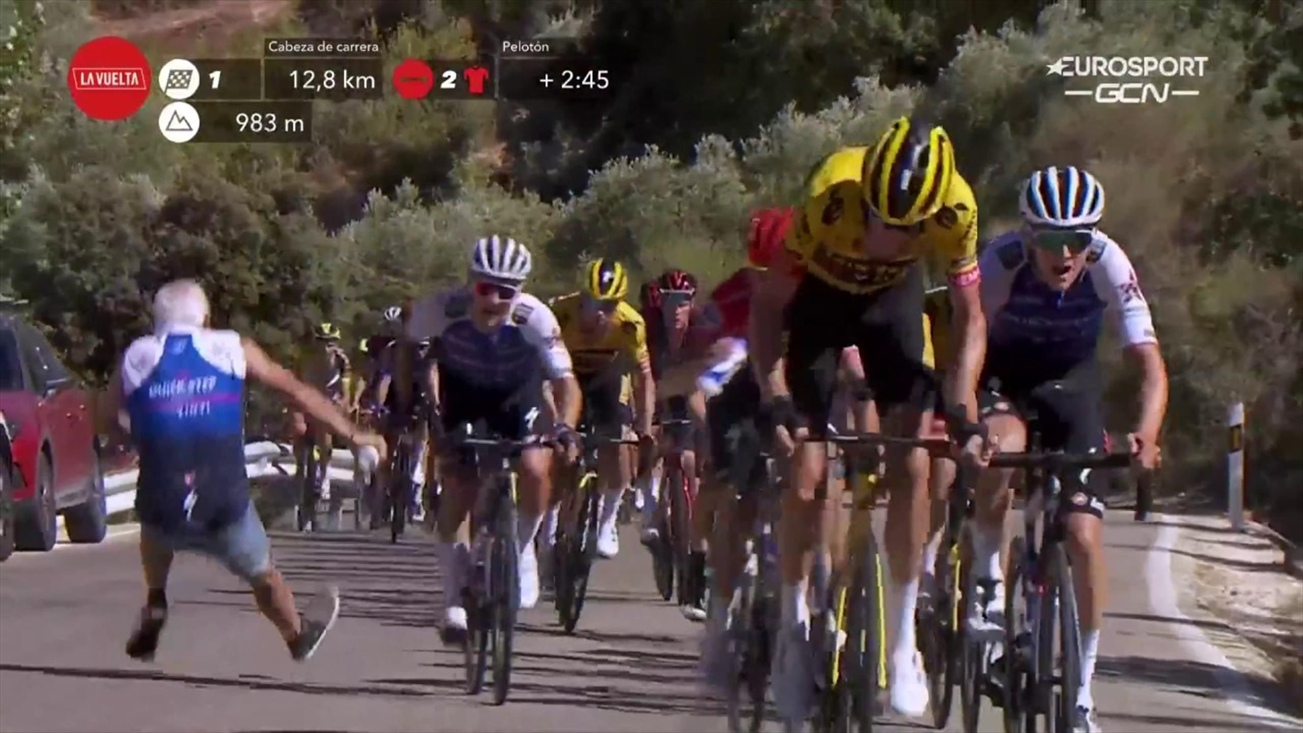 ‘Soigneur down, roll out of the way quickly!’ - Quick-Step Alpha Vinyl ...