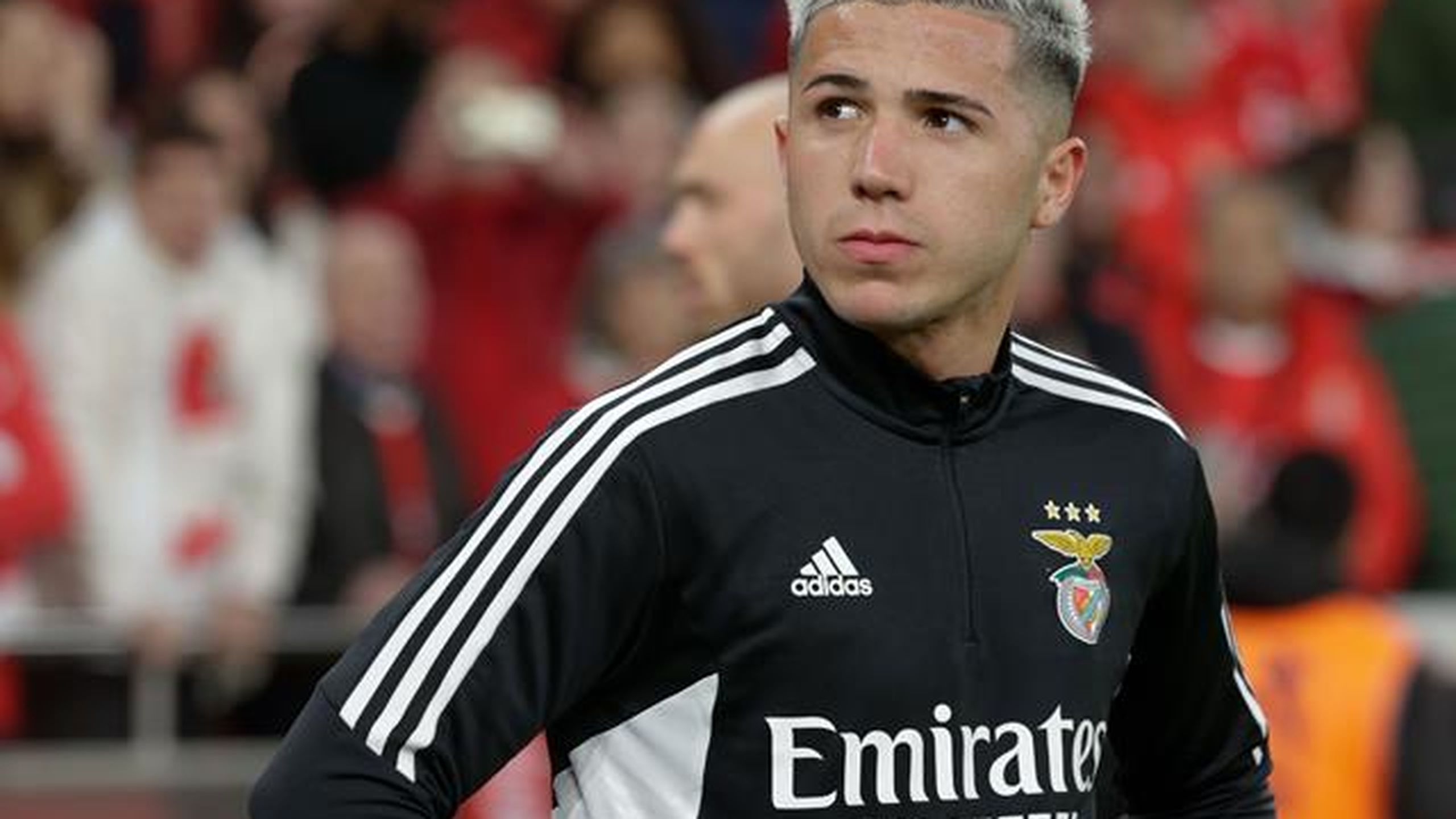 Enzo Fernandez: Chelsea complete signing of Argentina ace from Benfica ...