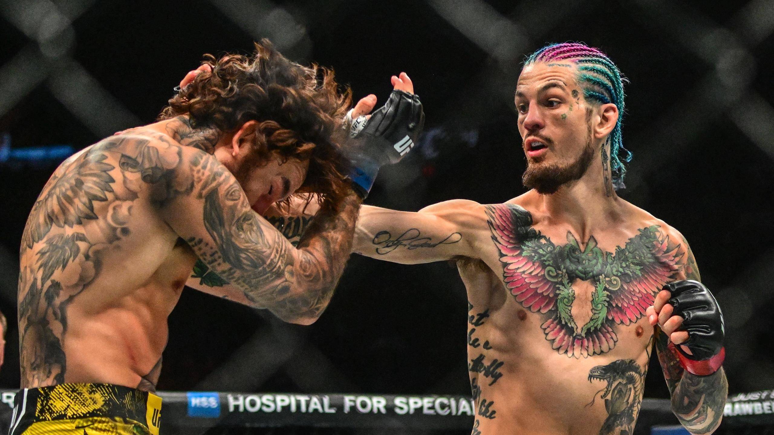 UFC 299: Stunning closing moments of fight as Sean O'Malley claims ...