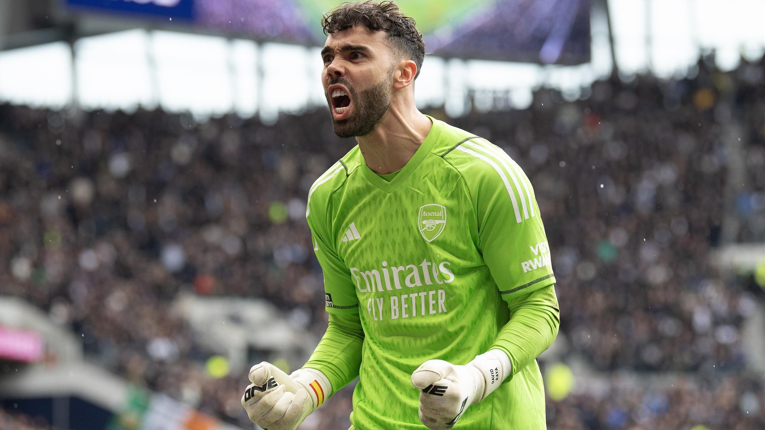 Arsenal's David Raya wins Premier League Golden Glove award after clean ...
