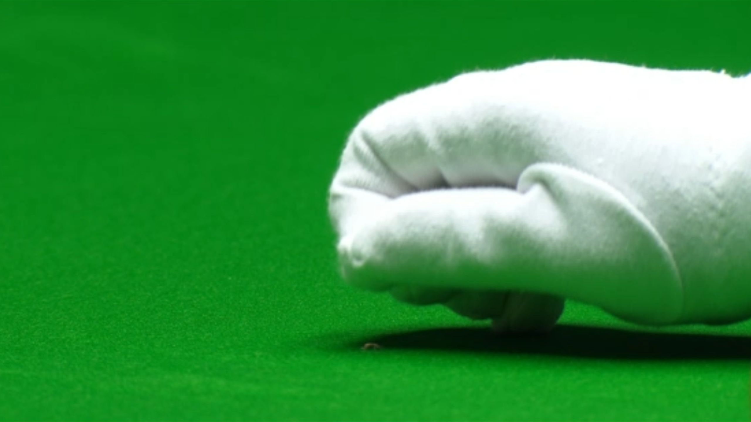 Referee Paul Collier deals ruthlessly with insect in World Snooker ...