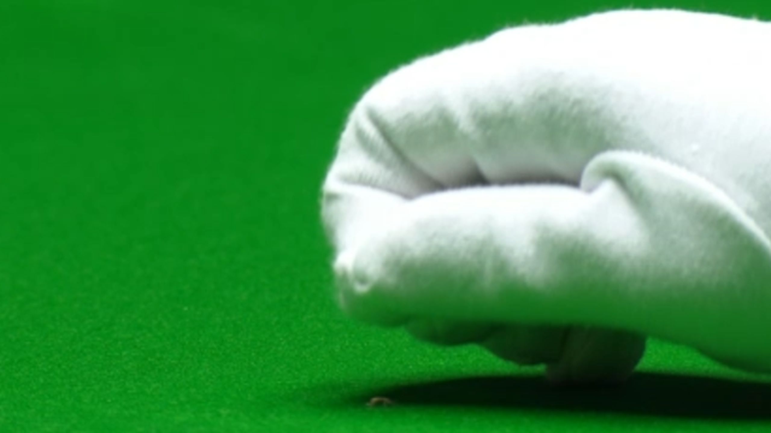 Referee Paul Collier deals ruthlessly with insect in World Snooker ...