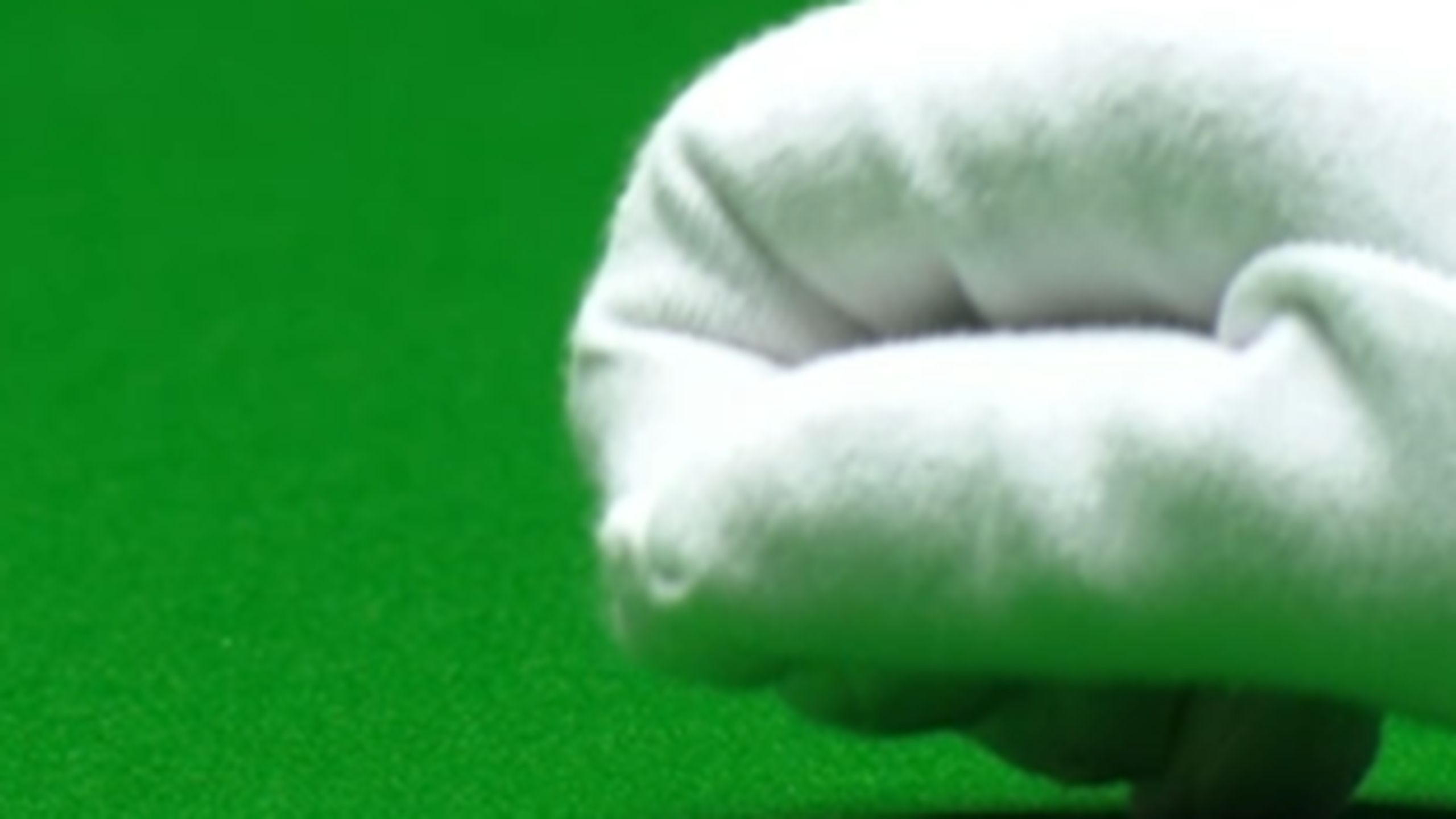 Referee Paul Collier deals ruthlessly with insect in World Snooker ...