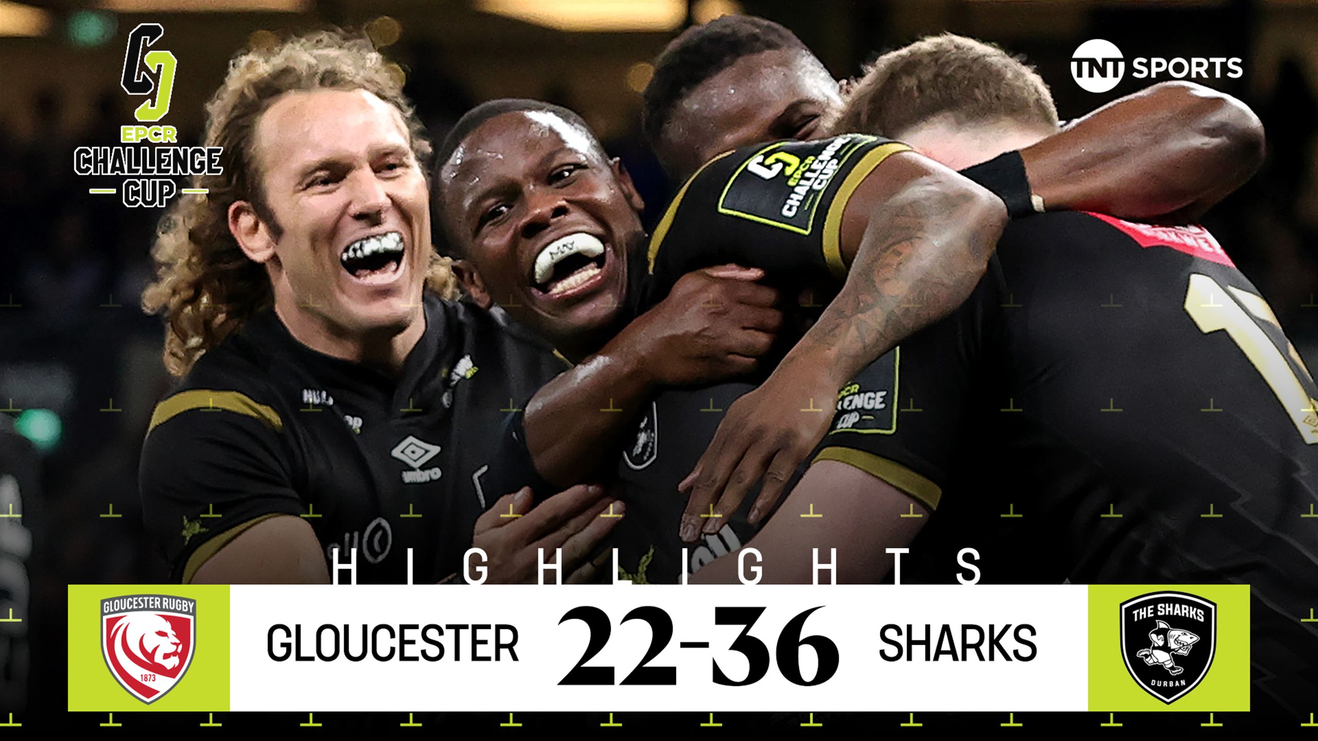 EPCR Challenge Cup Highlights: Ruthless Hollywood Sharks beat ...