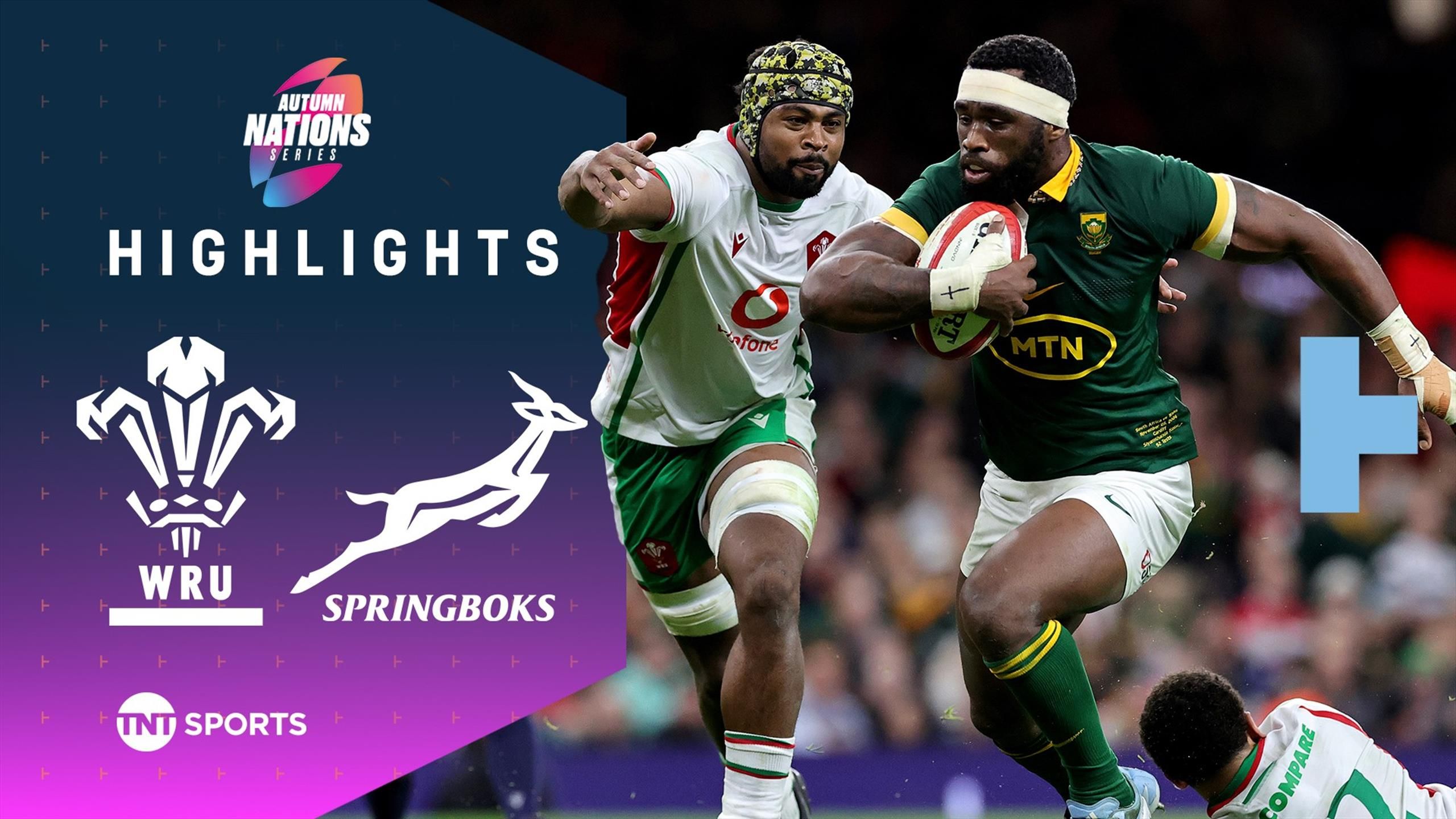Autumn Nations Series highlights Wales end 2024 winless as ruthless South Africa dominate in Cardiff