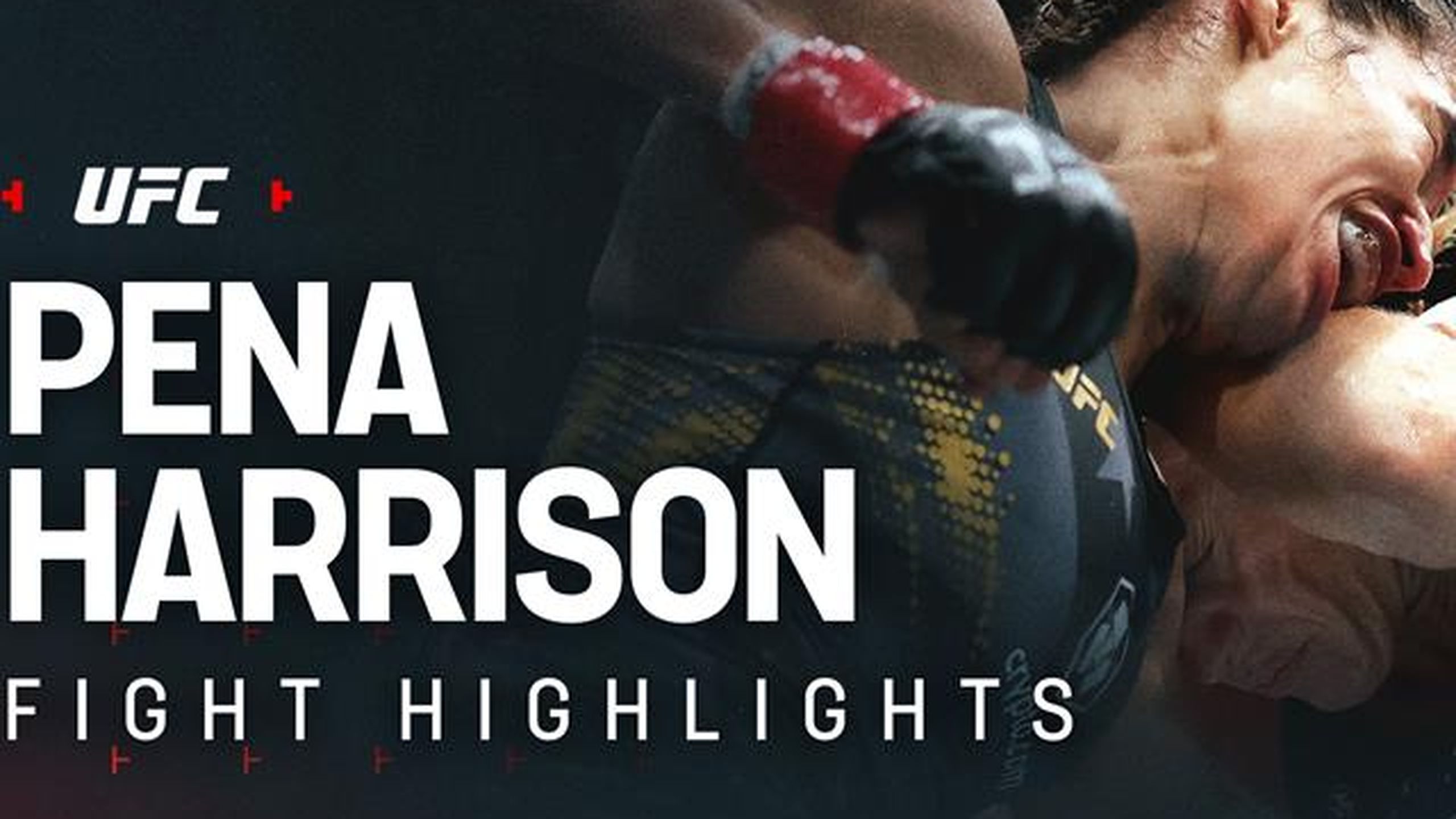 UFC 316 highlights: Kayla Harrison submits Julianna Pena to claim ...