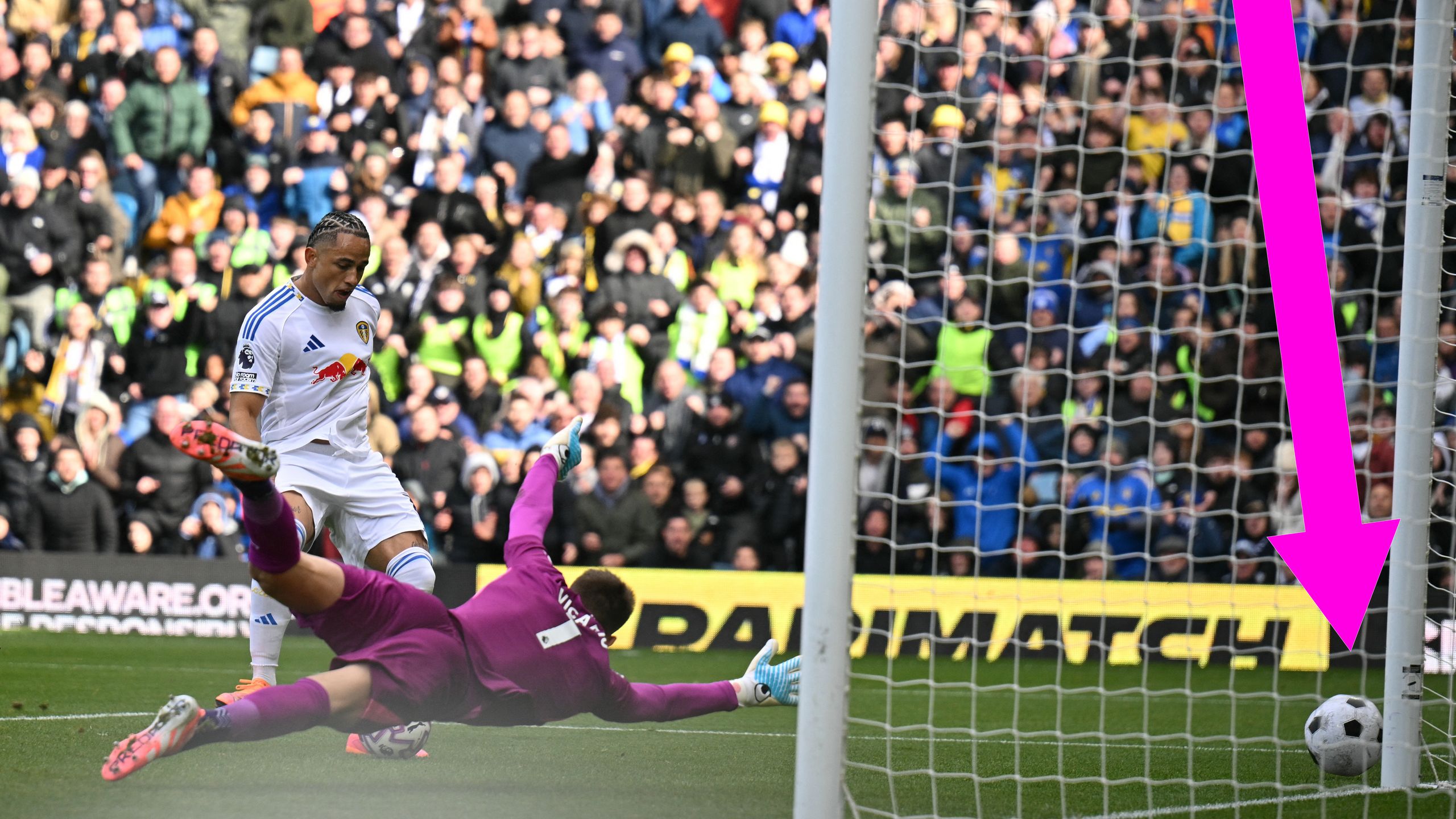 Watch: Bizarre beach ball moment as Leeds equalise against Tottenham ...