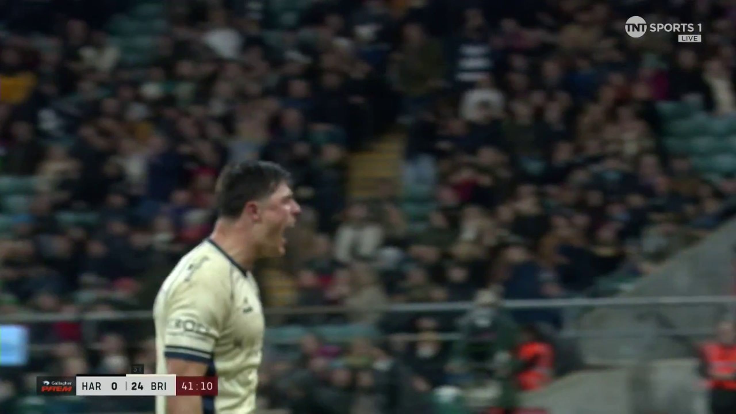 'He loves the big stage!' - Louis Rees-Zammit secures bonus point with ...