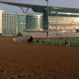 Stage set for Dubai World Cup at Meydan - TNT Sports