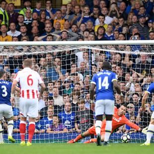 Shay Given's unfortunate own goal hands Everton home win over Stoke ...