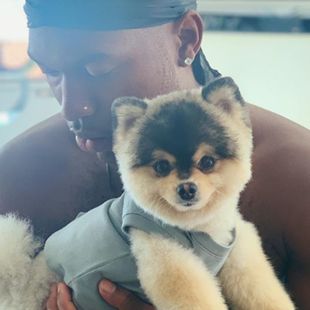 'He's so cute' - Daniel Sturridge's dog 'found' by Killa Fame - TNT Sports