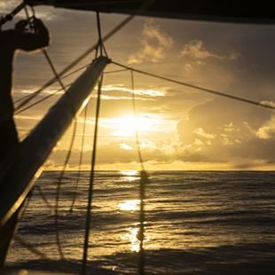 ‘Sunrise at latitude zero’ – The best clips as IMOCA yachts cross the ...