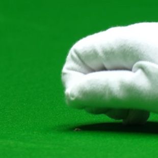 Referee Paul Collier deals ruthlessly with insect in World Snooker ...