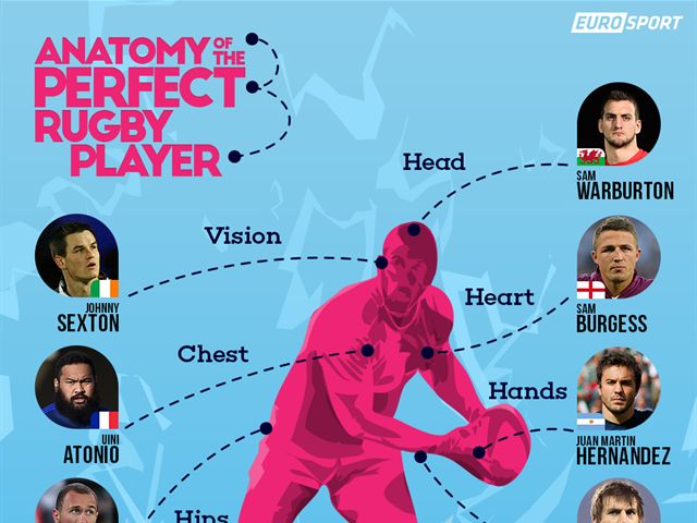 The anatomy of a perfect rugby player - TNT Sports