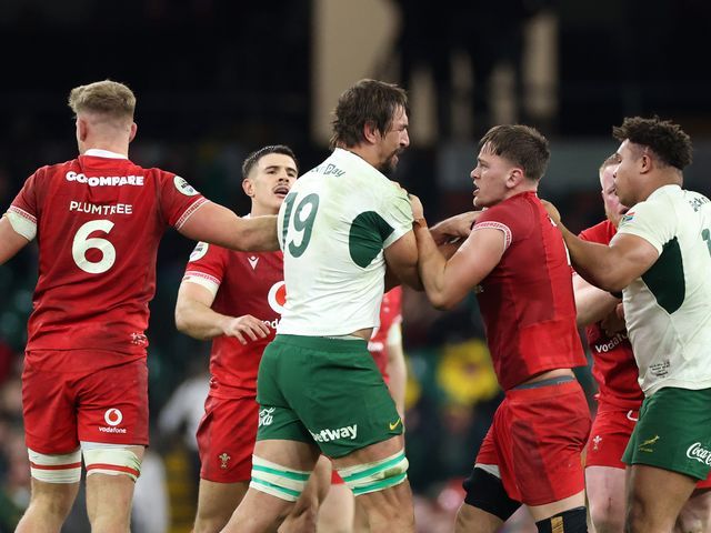 Eben Etzebeth banned for 12 weeks for intentional eye gouge on Wales ...